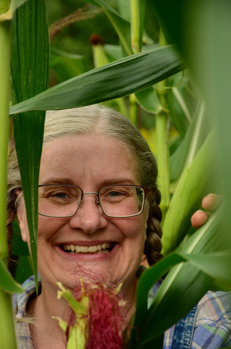 How to Build a Cabin House for Self-Sufficient Homesteading – Mother ...